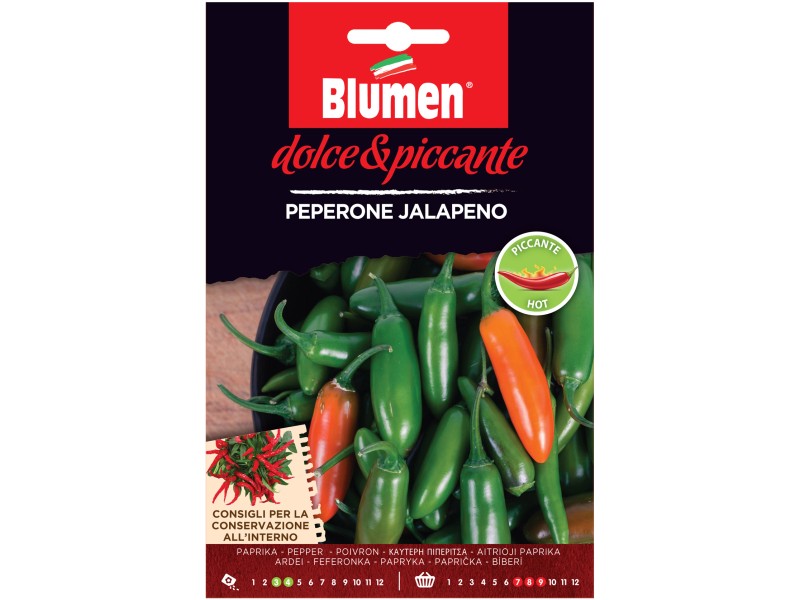 Semi Blumen Peperone Jalapeno acquista da OBI