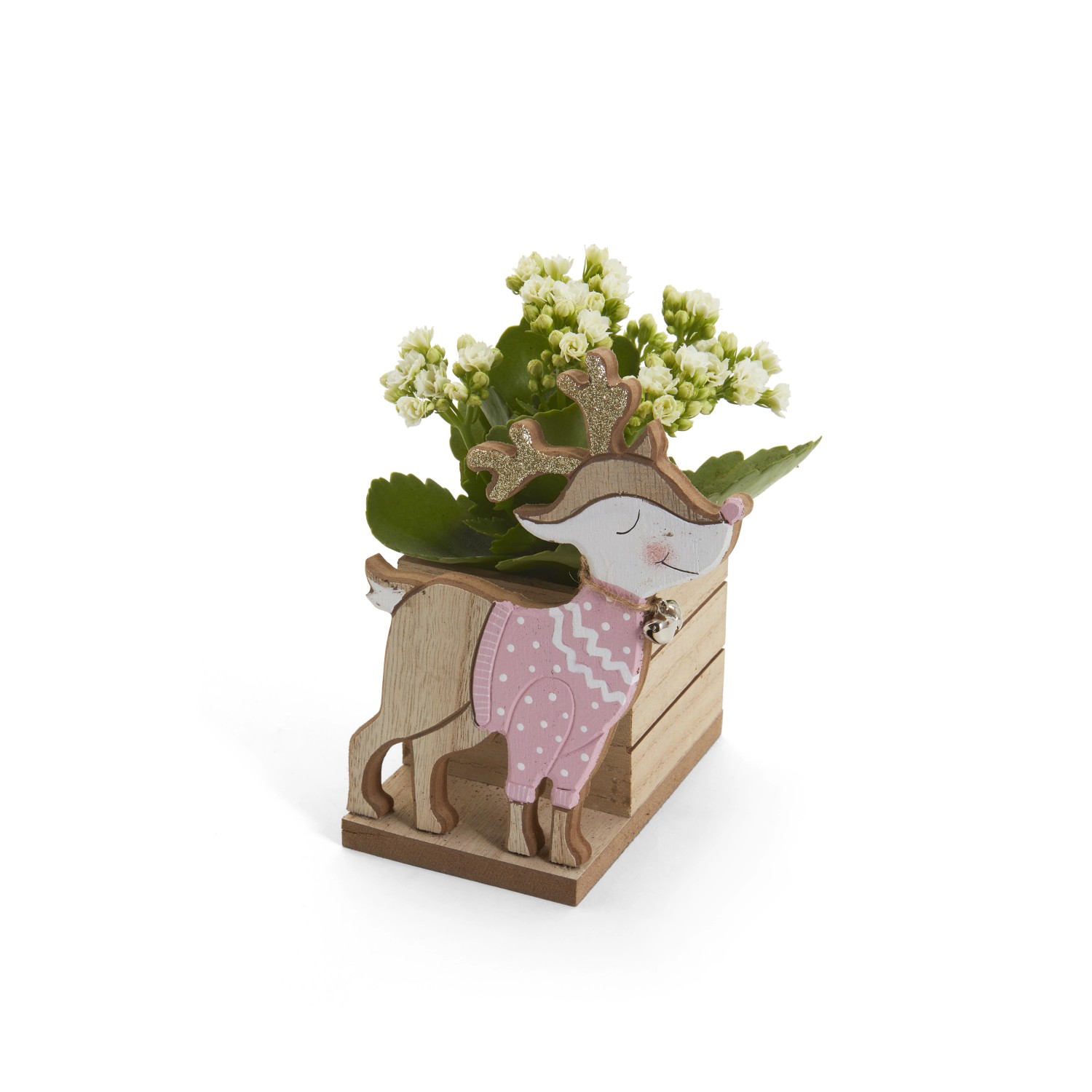 Composizione con kalancoe in vaso di legno con mini alce acquista da OBI