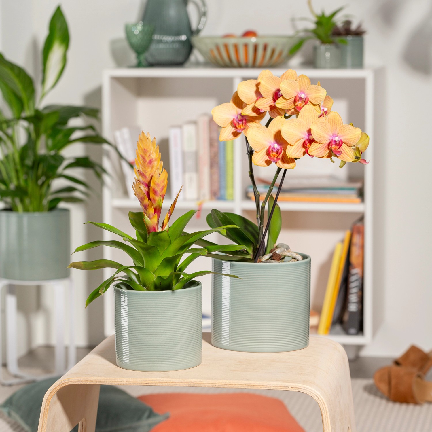 Portavaso Scheurich 828 Ø 19 cm x 17,7 cm Verde salvia acquista da OBI