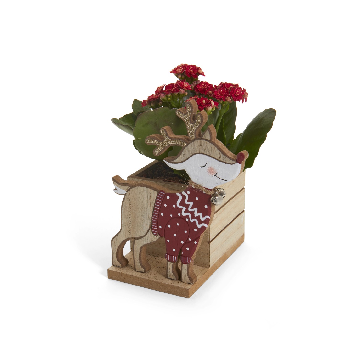 Composizione con kalancoe in vaso di legno con mini alce acquista da OBI