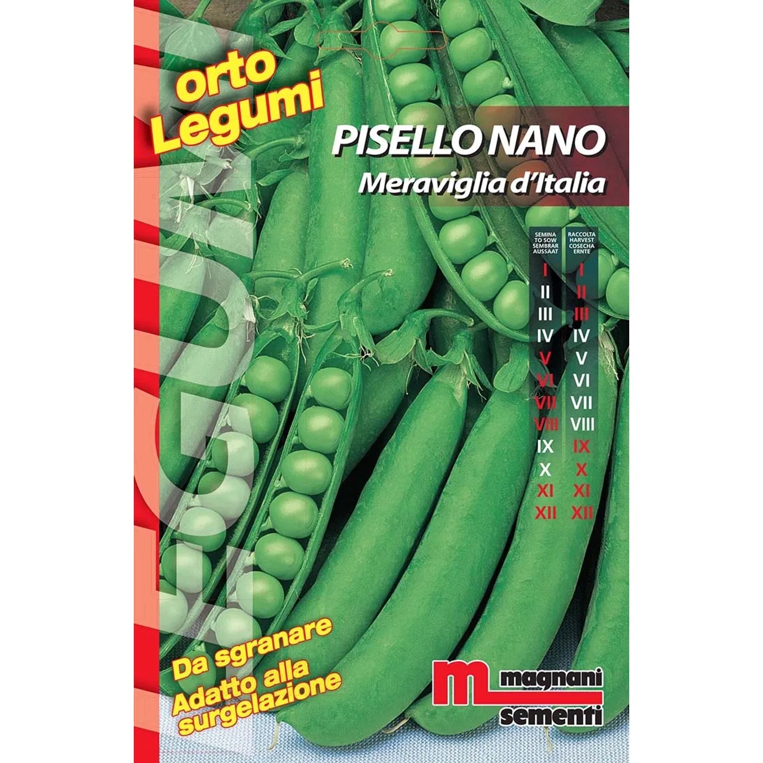 Semi Pisello nano Meraviglia d` Italia 100 g acquista da OBI