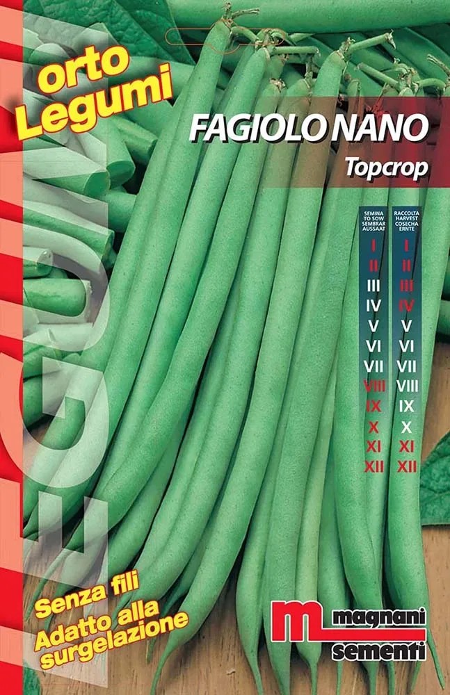 Semi Fagiolo nano Top crop 100 g acquista da OBI