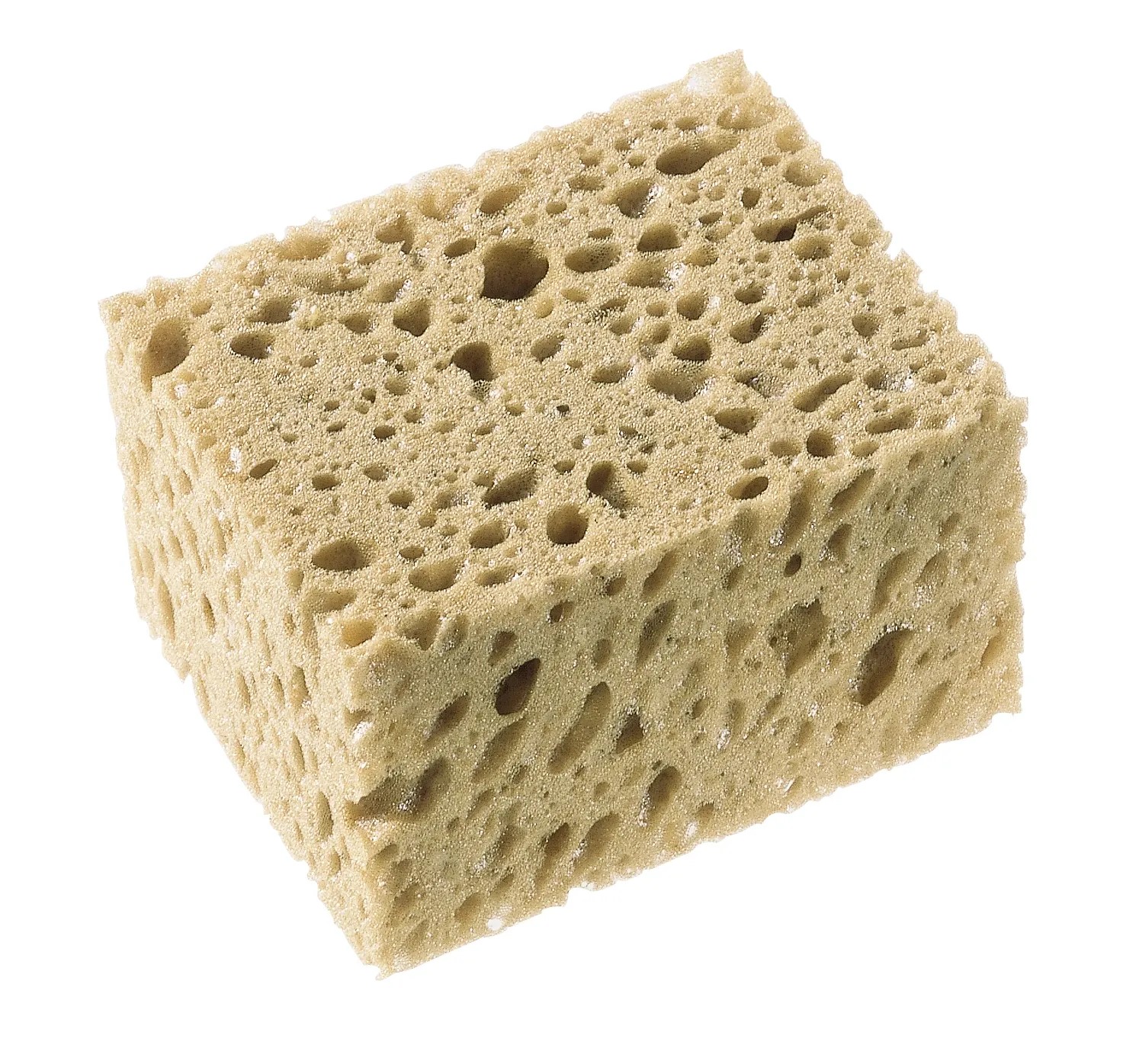 Spugna effetto per pittura LUX | OBI