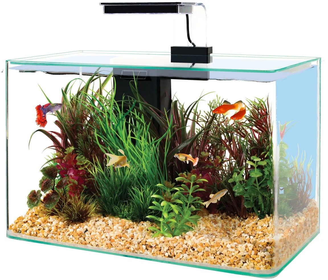 Acquario Acqua Clear 40 nero acquista da OBI