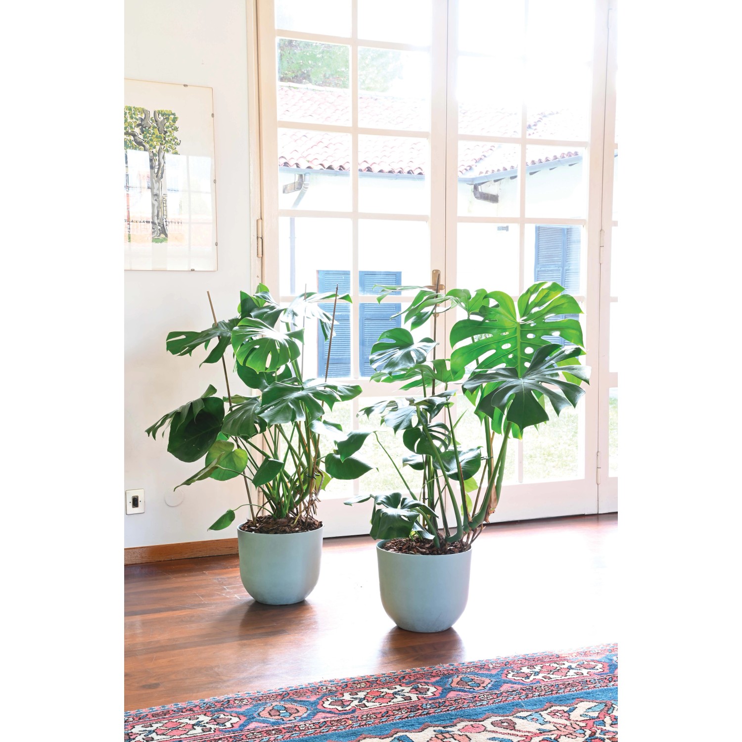 Vaso per piante conca Swingmood 30 cm verde rugiada plastica riciclata ...