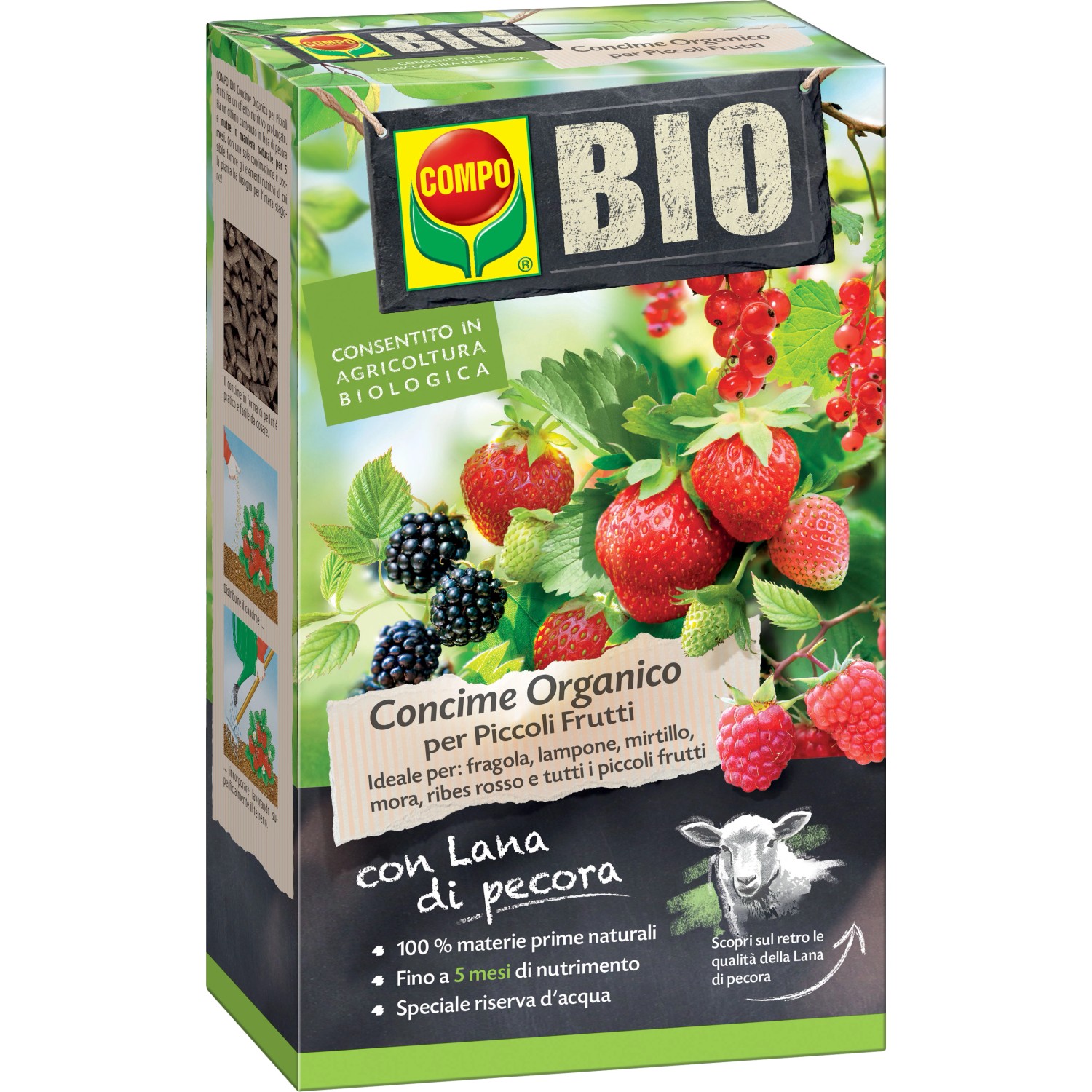 Concime organico per fragole e piccoli frutti Compo Bio 750 g acquista ...
