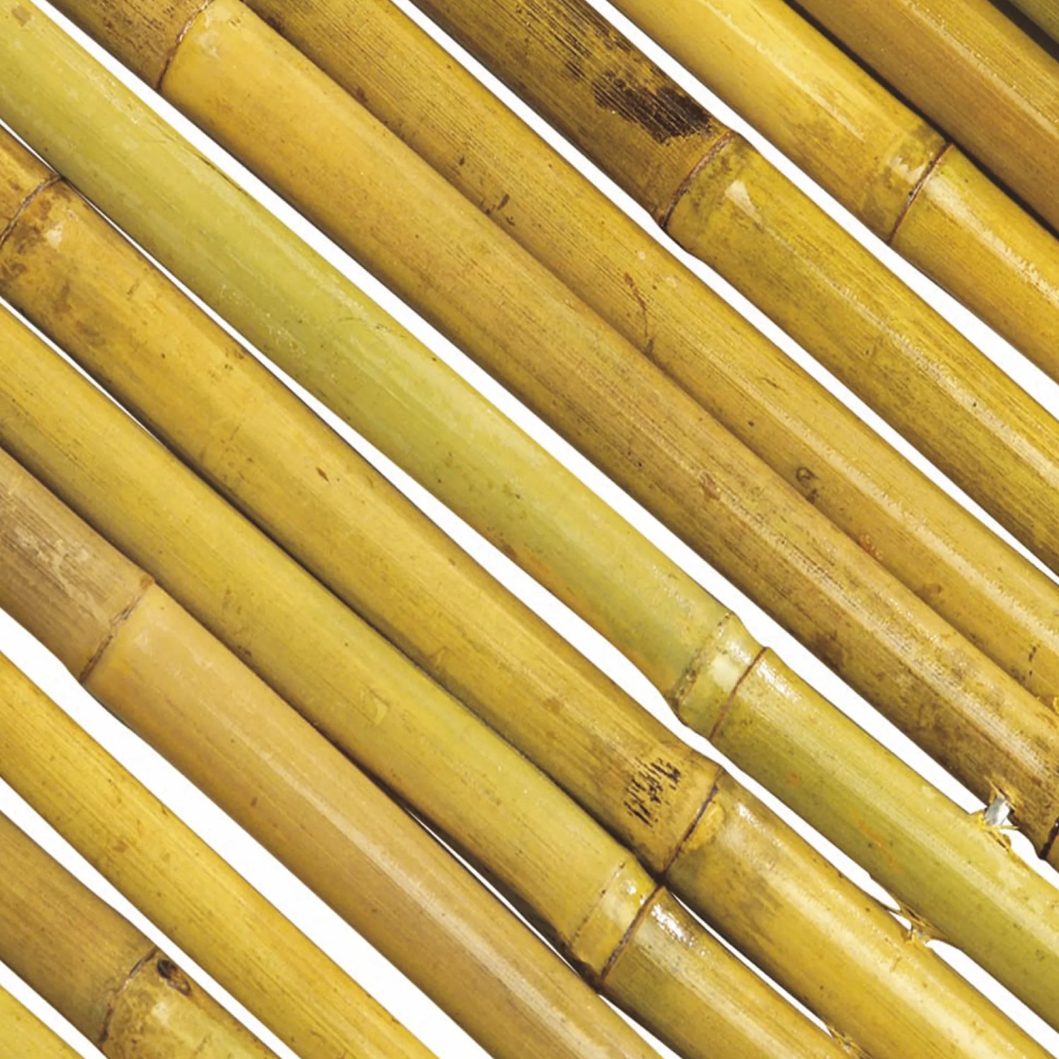 Arella bambu flex 1,5 x 3 m acquista da OBI