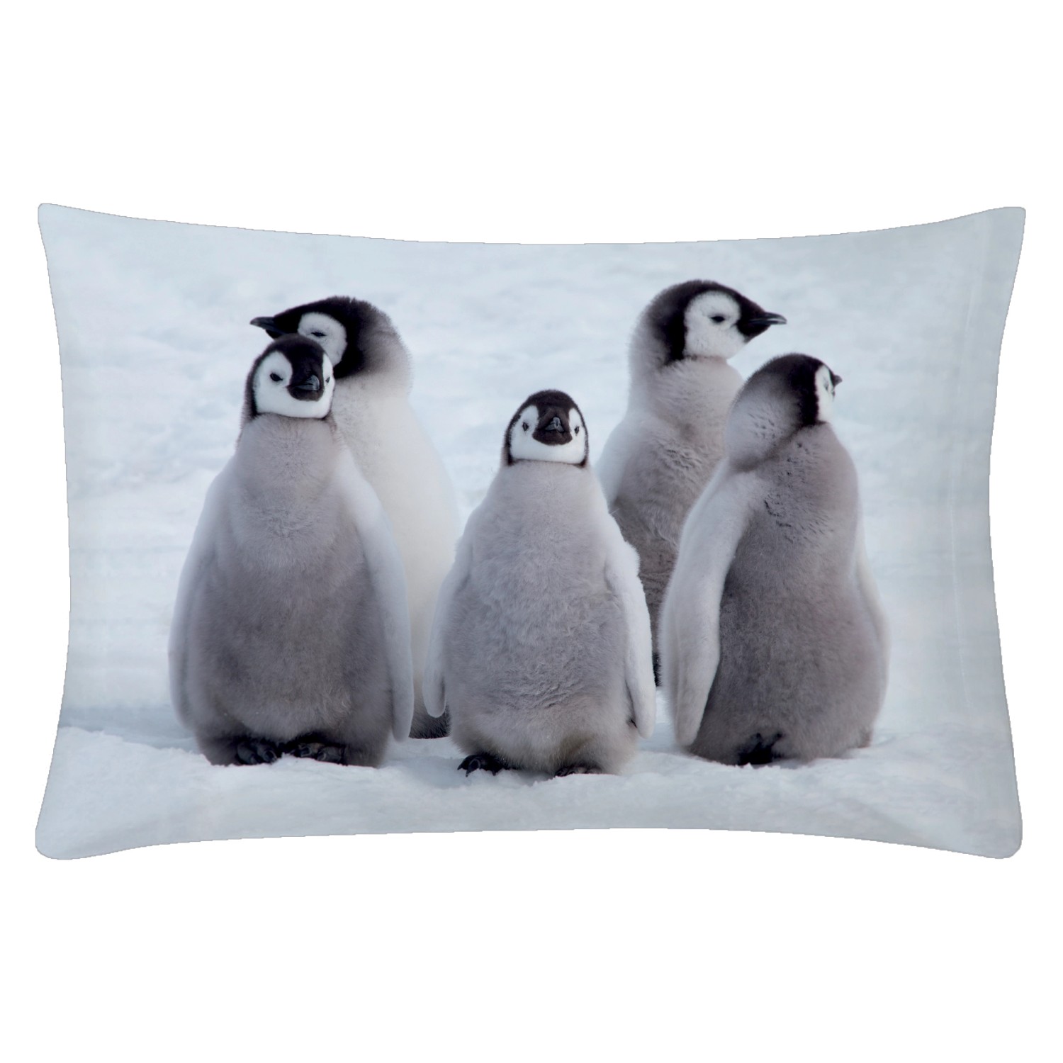 Federa per cuscino natalizia Artic Valley 50 x 80 cm | OBI