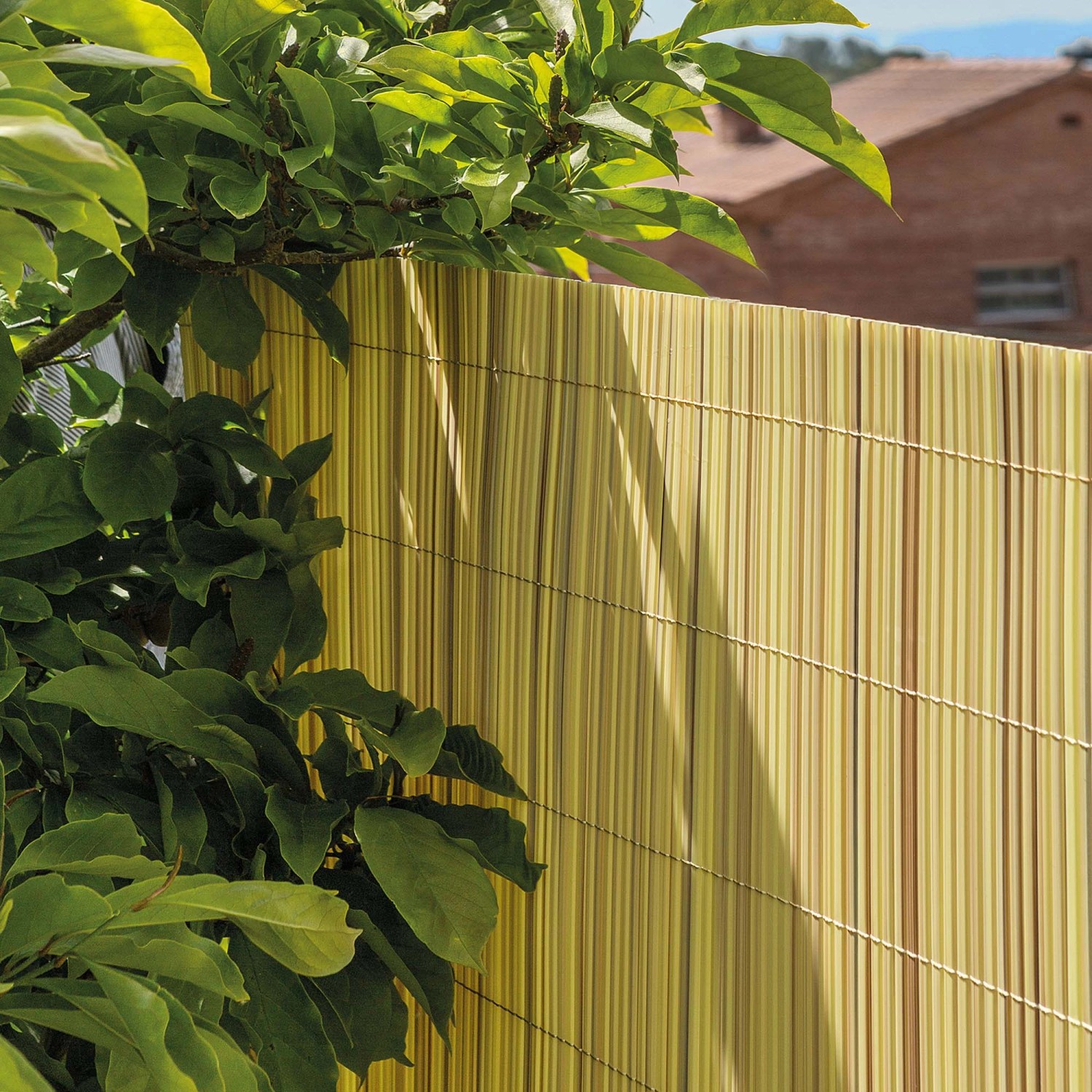 Canniccio sintetico in PVC Tenax Colorado H 1,5 x L 5 m beige acquista ...