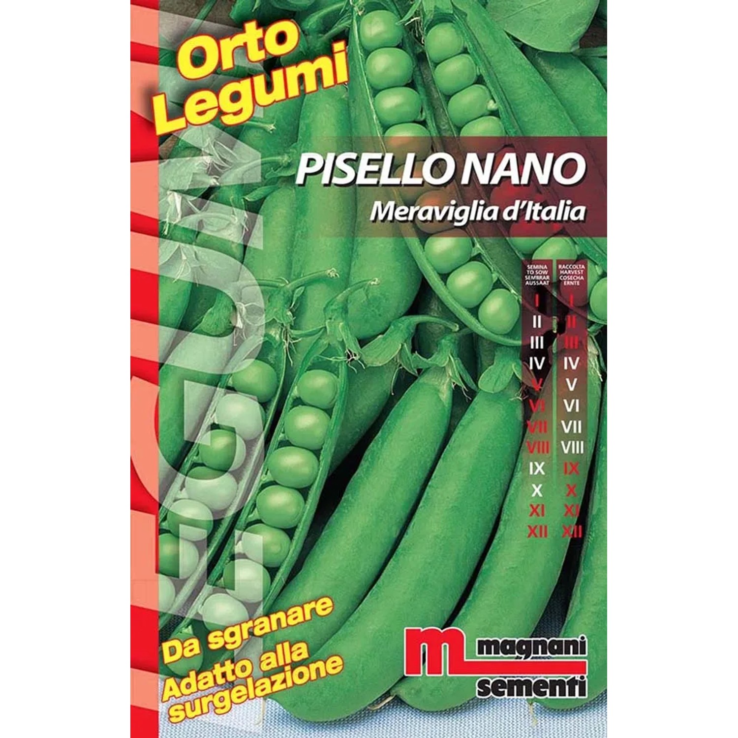 Semi Pisello nano Meraviglia d` Italia 200 g acquista da OBI