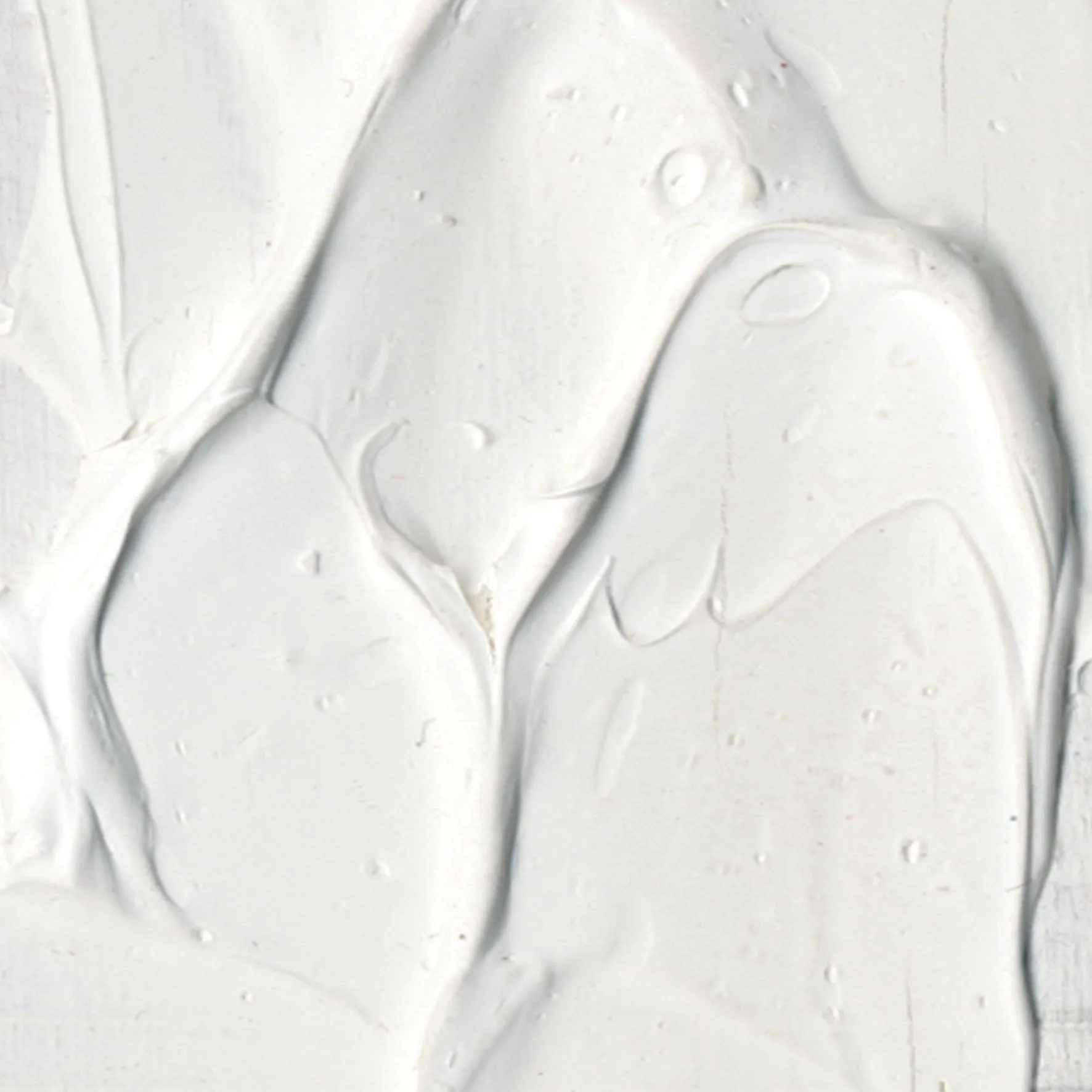 Pasta liscia Fleur Specials bianco opaco 130 ml | OBI