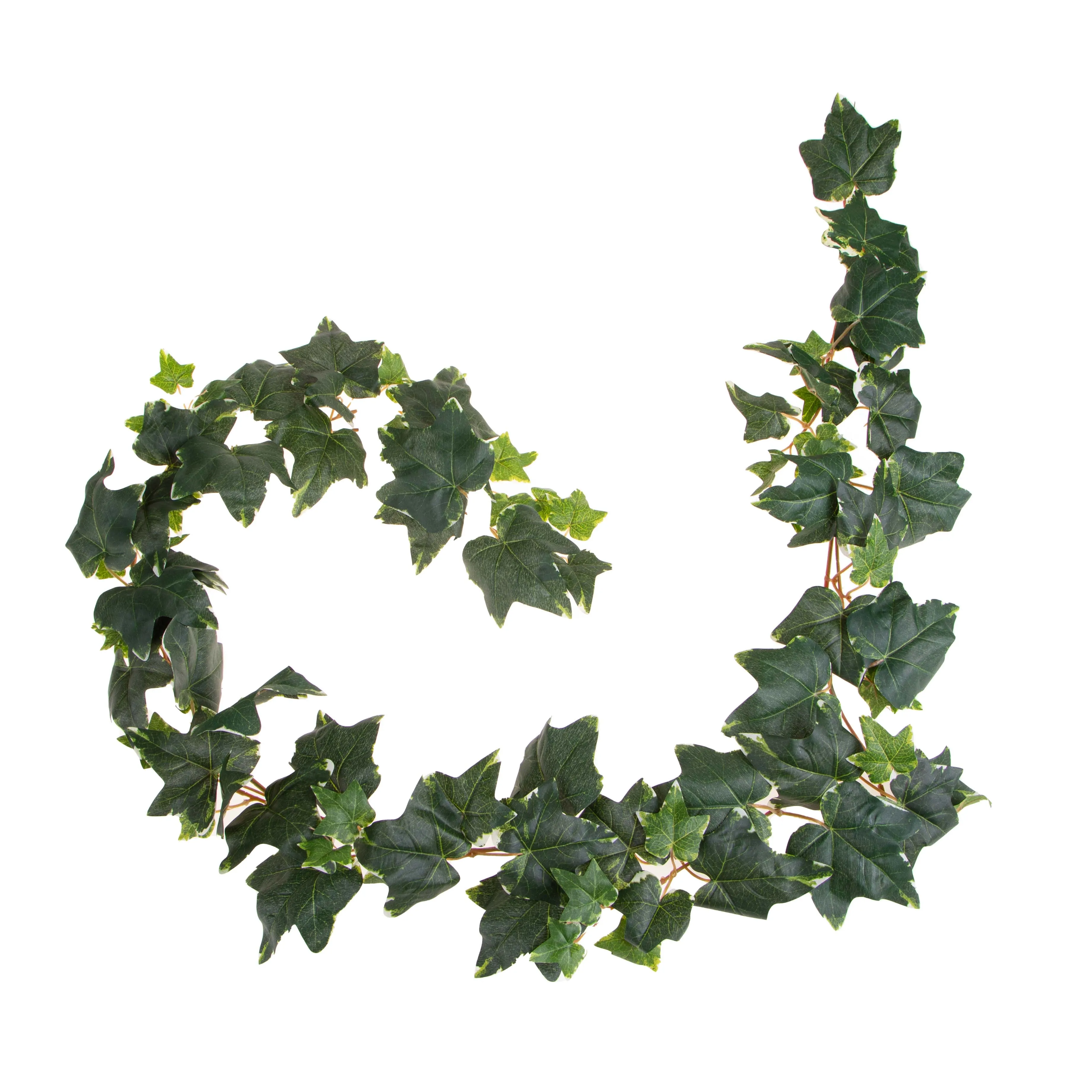 Ghirlanda edera 183 cm | OBI