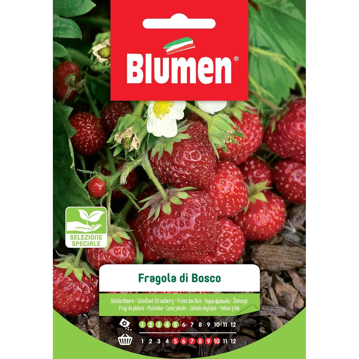 acquista Semi Fragole da OBI