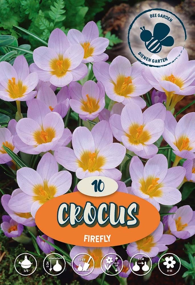 Crochi Firefly acquista da OBI