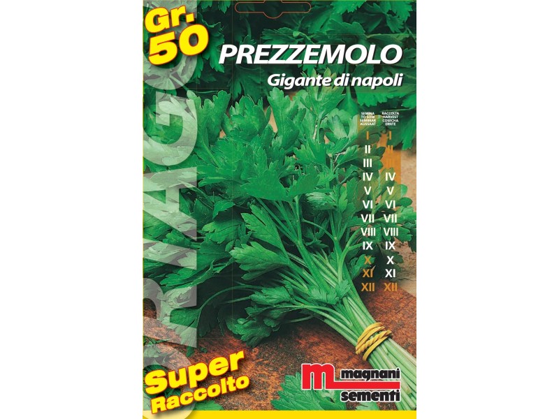 Semi orto big Prezzemolo gigante di Napoli 50 g acquista da OBI