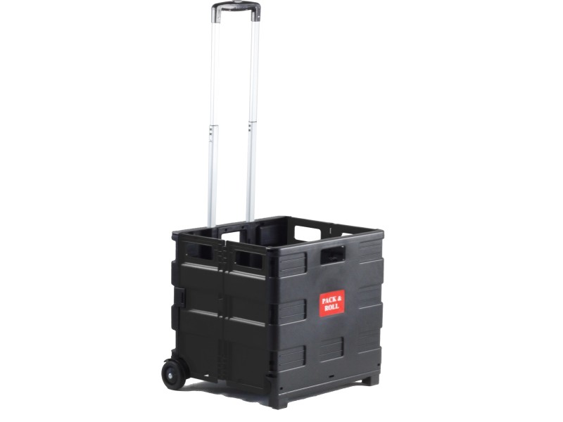 Carrello ultracompatto Pack&Roll acquista da OBI