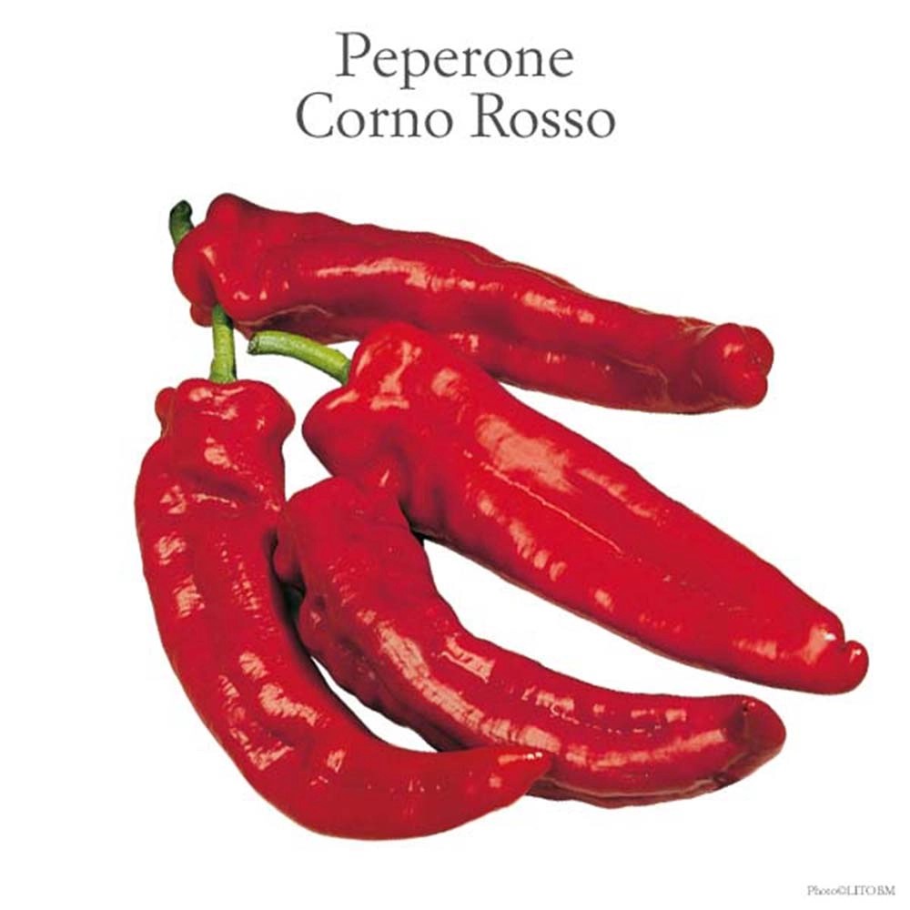 Peperone Corno rosso Willy vaschetta 4 pz | OBI