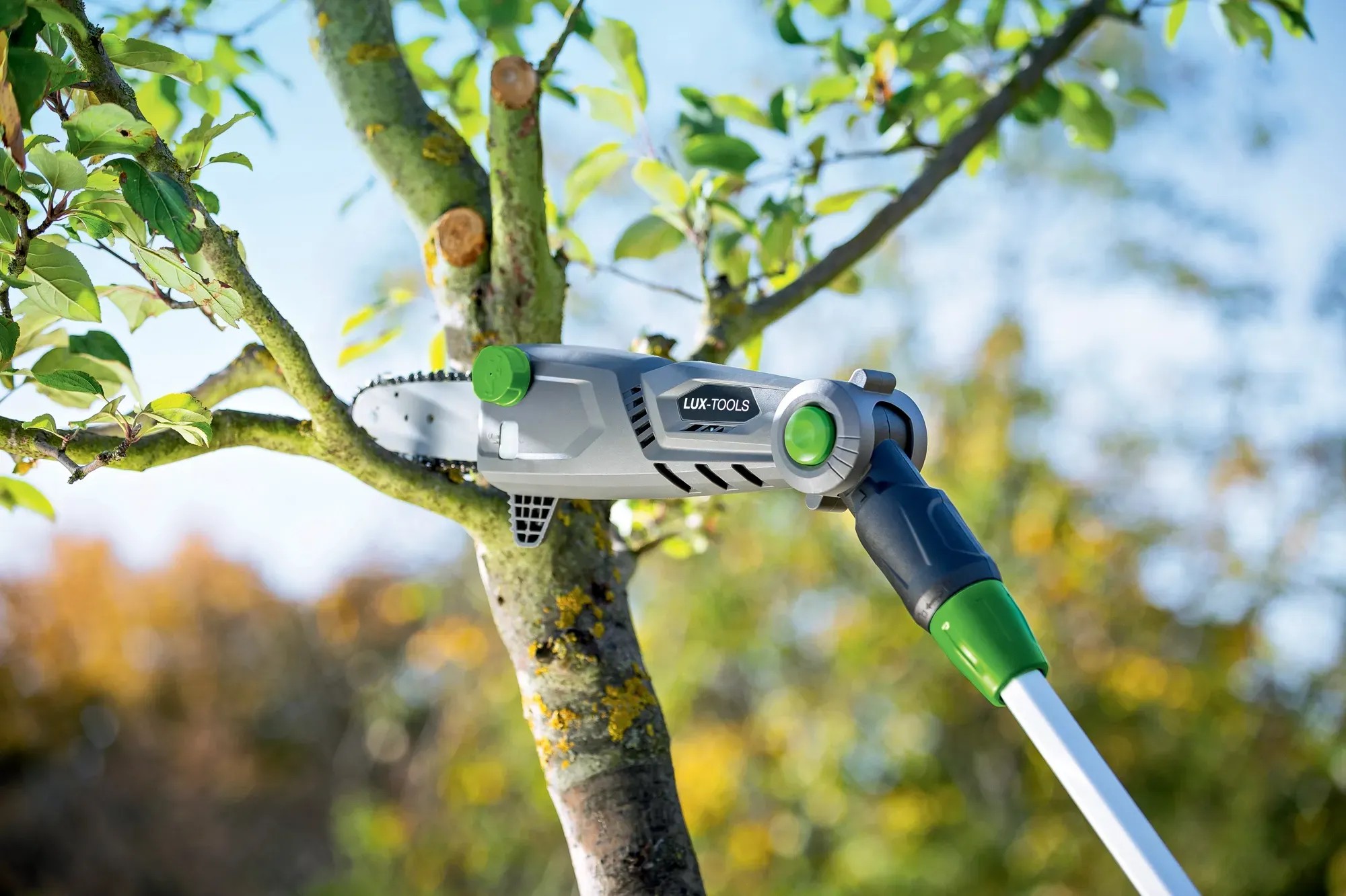 Potatore a batteria telescopico LUX A-KS-20/20T - Solo corpo macchina acquista da OBI