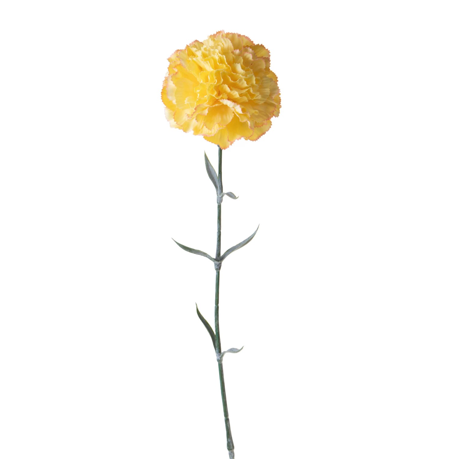 Garofano fiore 63 cm acquista da OBI