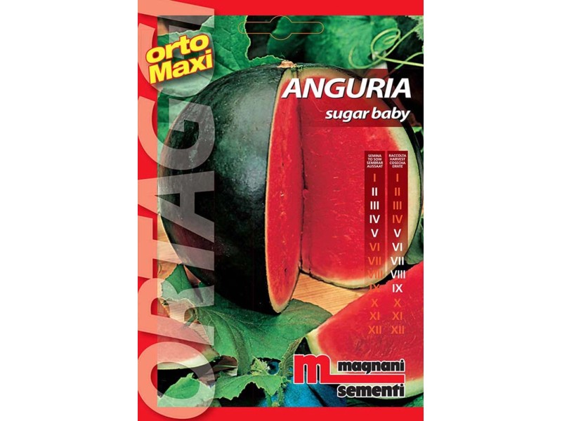 Semi orto maxi Anguria Sugar Baby acquista da OBI