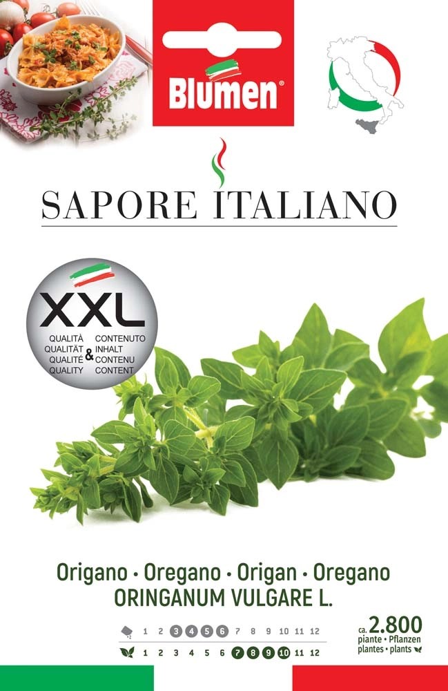 Semi Blumen Origano XXL acquista da OBI