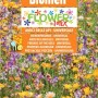 Semi mix di fiori amici delle api universale acquista da OBI
