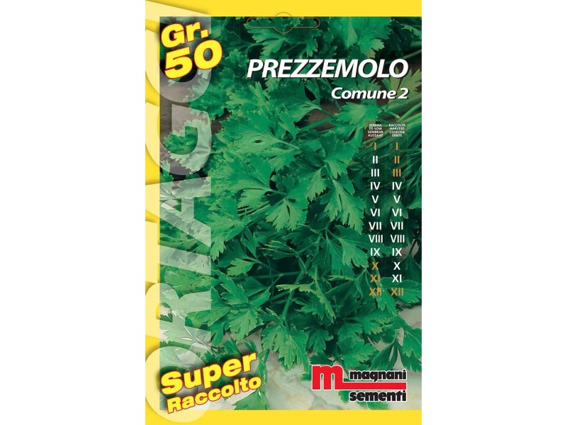 Semi orto big Prezzemolo comune 50 g acquista da OBI