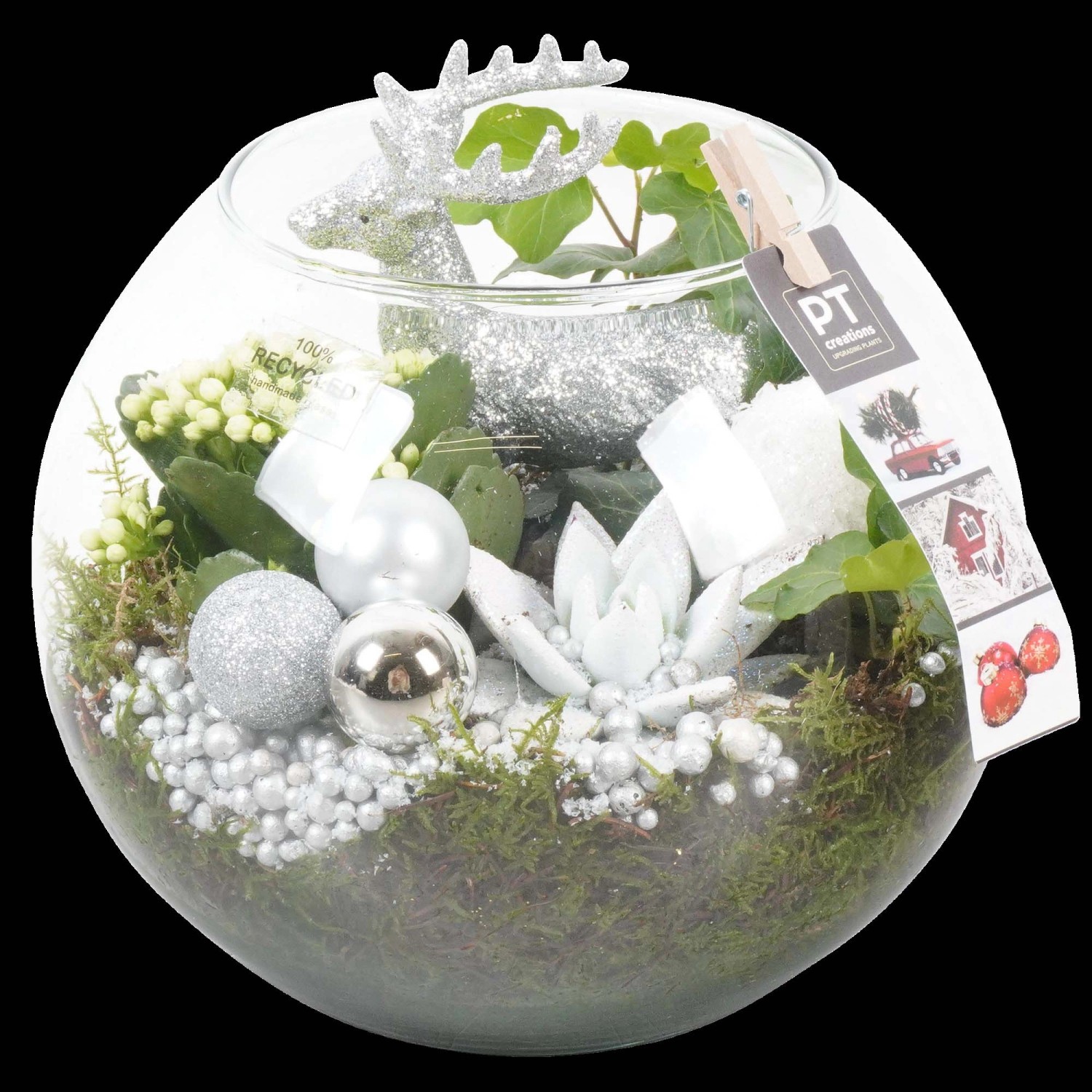 Composizione di piante invernali in un bicchiere sferico argento Ø 20 ...