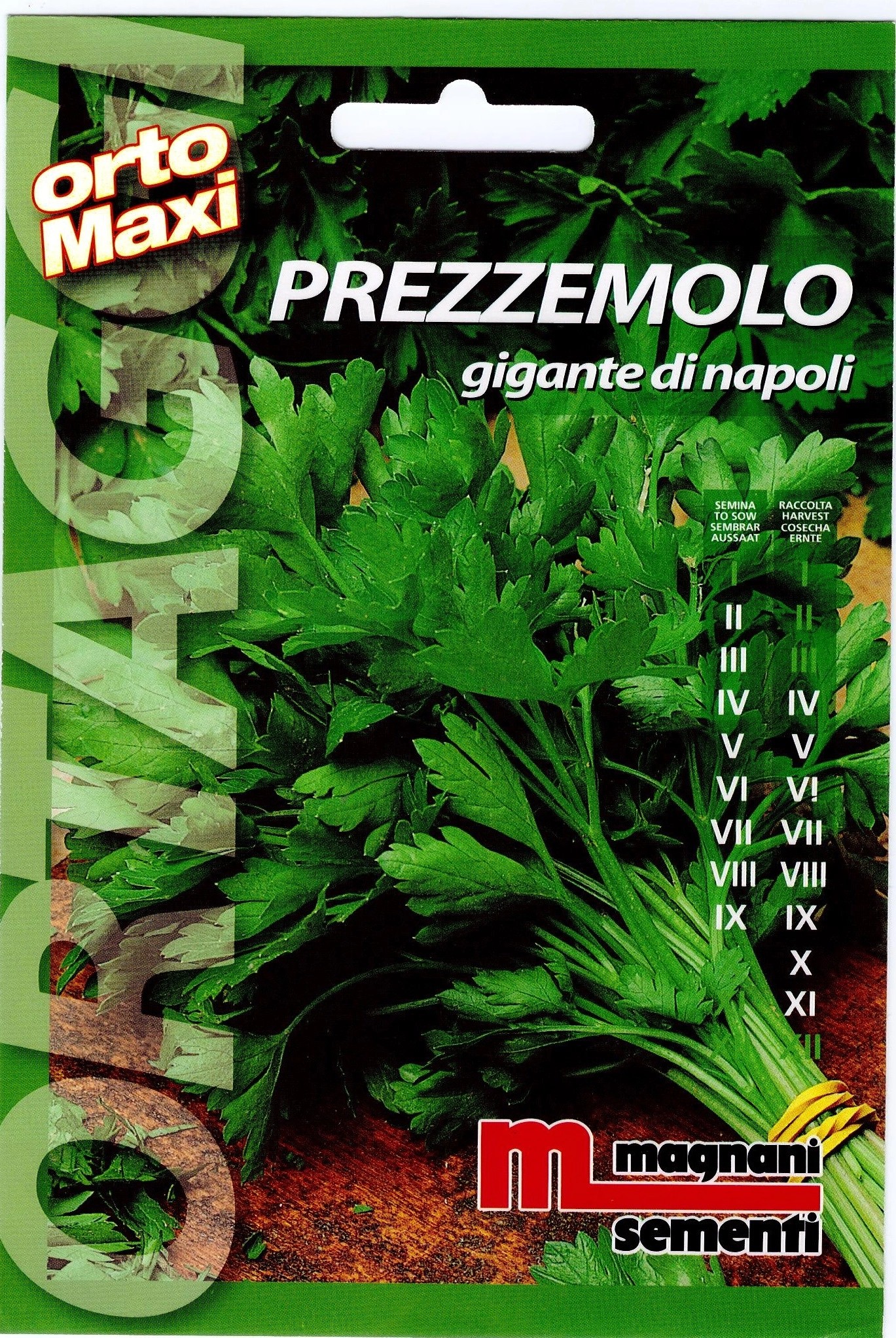 Semi aromi Prezzemolo gigante Napoli acquista da OBI