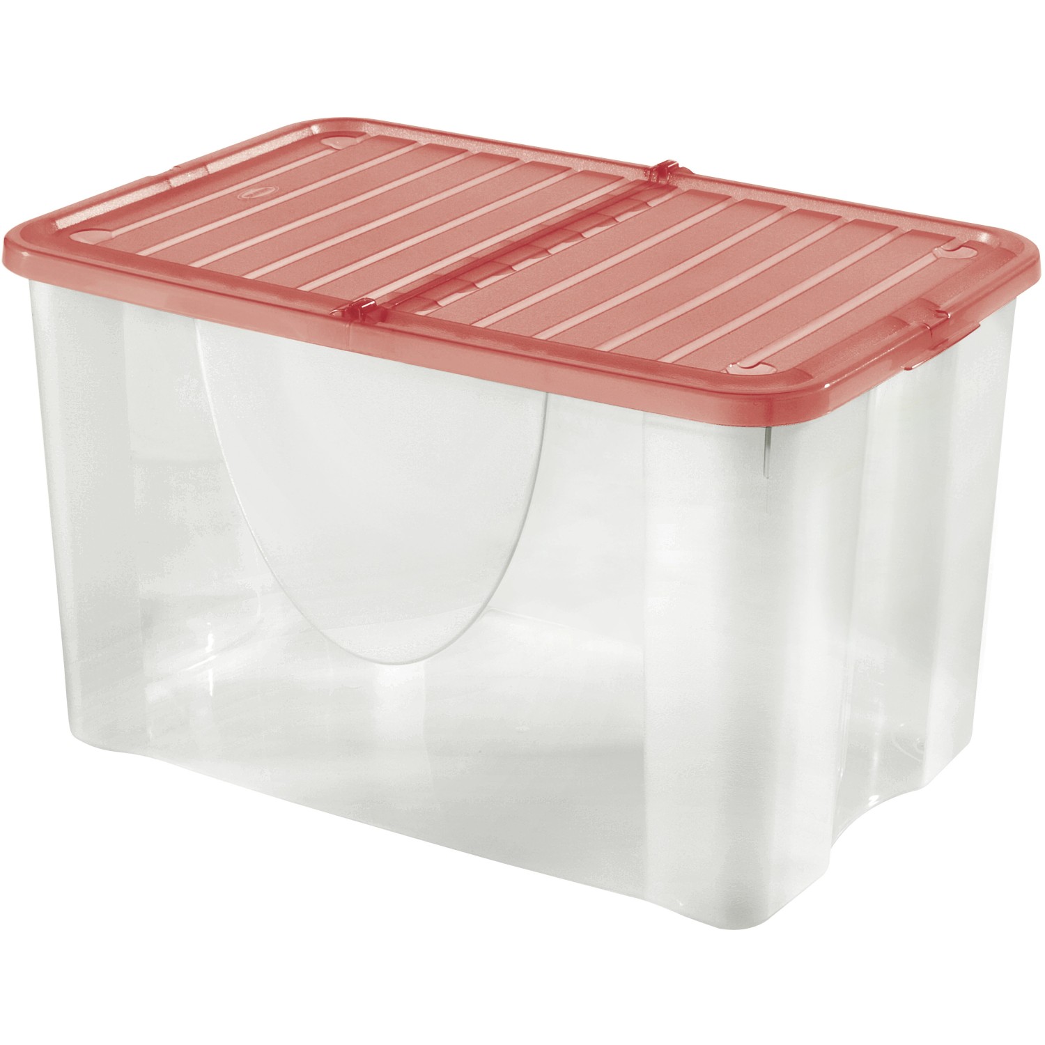 Contenitore in plastica Tontarelli Box Dodo`s 34x56,5x38 cm trasparente ...