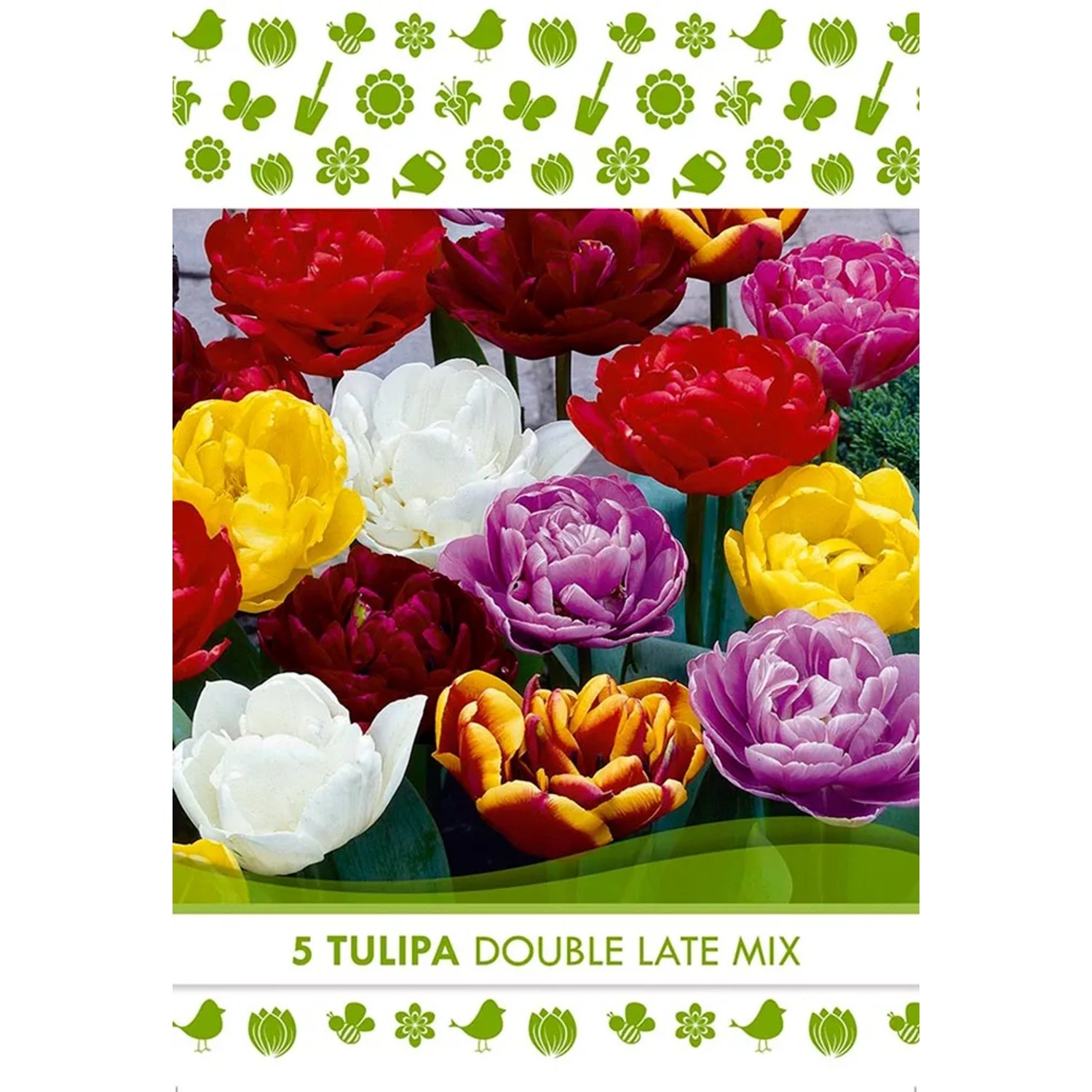 Bulbi fiori Tulipa Double Late mix 5 pz acquista da OBI