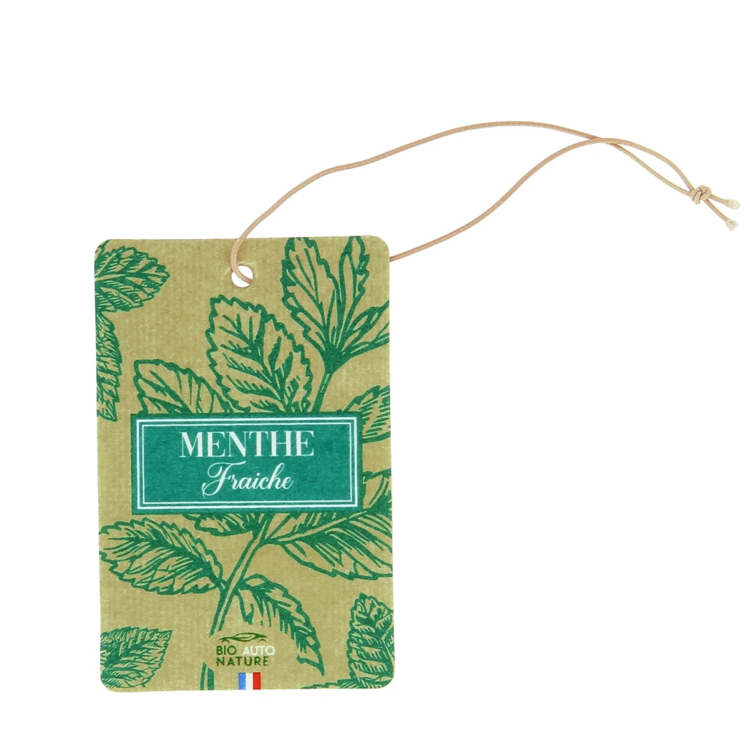 Deodorante cartone imbevuto profumo Menta fresca acquista da OBI