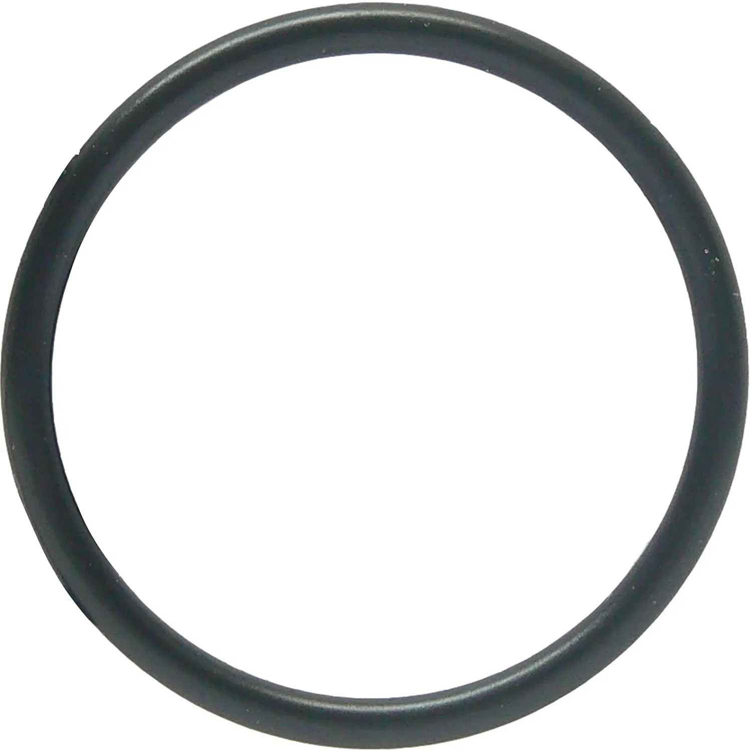 O-ring per sede estraibile acquista da OBI