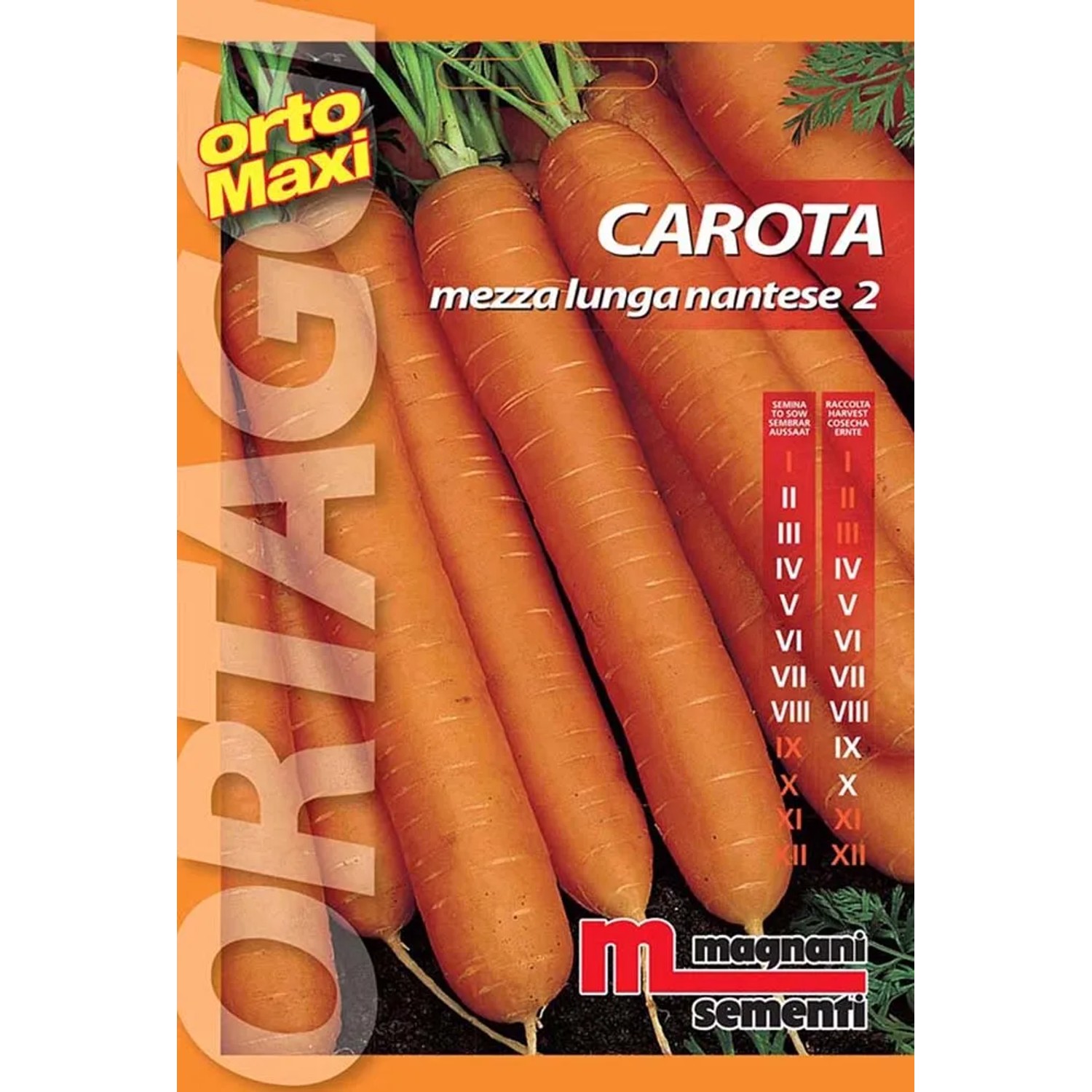 Semi orto maxi Carota mezza lunga acquista da OBI